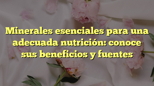 Minerales Esenciales Para Una Adecuada Nutrición: Conoce Sus Beneficios ...