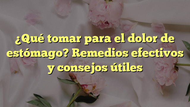 ¿Qué Tomar Para El Dolor De Estómago? Remedios Efectivos Y Consejos útiles