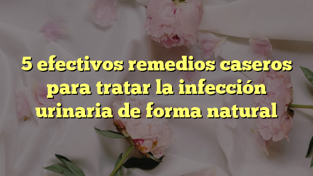 5 Efectivos Remedios Caseros Para Tratar La Infección Urinaria De Forma ...