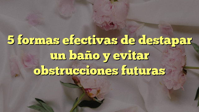 5 Formas Efectivas De Destapar Un Baño Y Evitar Obstrucciones Futuras
