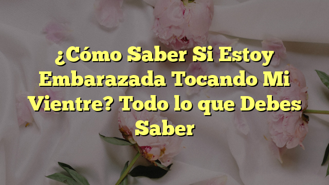 ¿Cómo Saber Si Estoy Embarazada Tocando Mi Vientre? Todo Lo Que Debes Saber