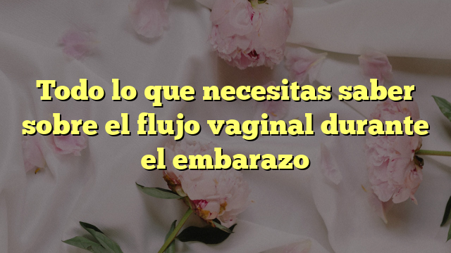 Todo Lo Que Necesitas Saber Sobre El Flujo Vaginal Durante El Embarazo